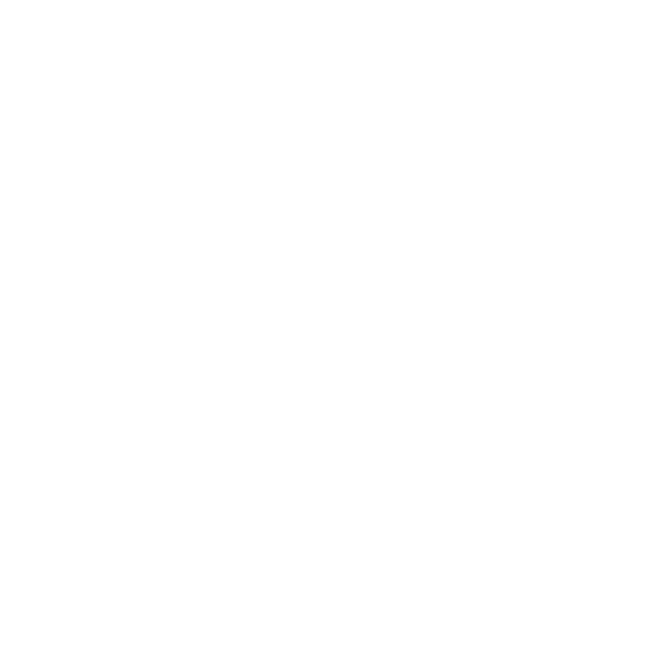 CNCC - Auditeur légal